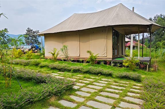 EcoTour Odisha